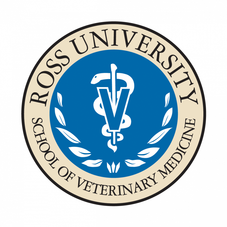 First Point Recruitment Agency Ltd – The Home of St. Kitts Jobs – We ...